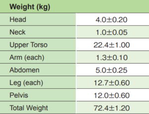 ANTHROPOMORPHIC TEST DEVICES - Jasti USA