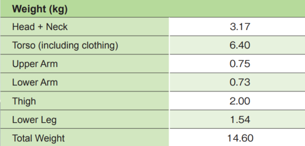 ANTHROPOMORPHIC TEST DEVICES - Jasti USA